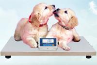 China 30Kg-150Kg Digital Platform Weighing Scale For Pet Animal Livestock ISO CE for sale