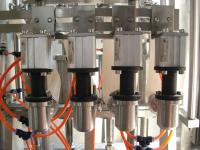 China Auto Piston Oil Filling Machine Olive Oil Bottle Filler 500g for sale