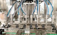 China Auto Piston Oil Filling Machine Olive Oil Bottle Filler 500g for sale