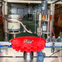 China High Speed 42Pcs/min Automatic Bottle Capping Machine Ropp Capping Machine with Cap Feeding Device for Metal Bottle Cap Capper for sale