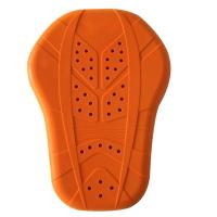 China Kid Youth Women Men Plastic Foam Motorcycle Ski Back Protector with Customized Colors for sale