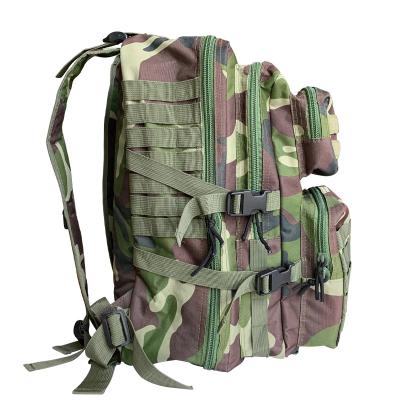 China Customized 1.5kg Nerve Bridge Technique Traveling Backpack for Outdoor Sport Customized for sale