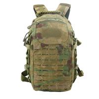 China Unisex Hard Handle Molle System Backpack For Outdoor Training And Waterproof Design for sale
