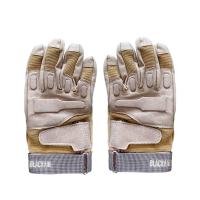 China Training Fitness Non-slip Cycling Sports Gloves for Applicable Season Spring And Summer for sale