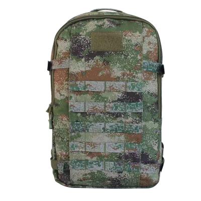 China Large Capacity Green Outdoor Travel Backpack with Interior Zipper Pocket and Cotton Lining for sale