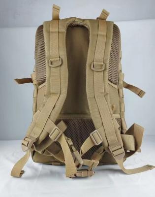 China Unisex Outdoor Travel Special Backpack in Green with Large Capacity and Cotton Lining for sale