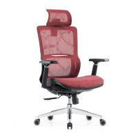 China Lumbar Support Full Mesh Luxury Mesh With Headrest Adjustable Fabric Comfort Office Ergonomic Chair for sale