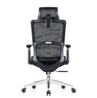 China Ergonomic High Back Full Mesh Chair With Adjustable Headrest Armres Waist Pillow for sale