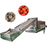 China ValuPlus Belt Dryer for sale