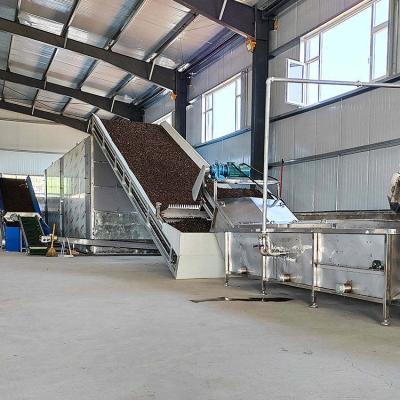 China 1.6M Belt Dryer for Chemical Food Pharmaceutical Industry Smart Dryer Belt 220V for sale