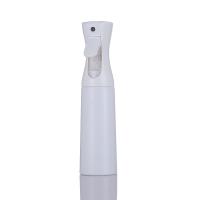 China Personal Care PET Plastic Continuous Spray Bottle 300ml Fine Mist Spray Bottle for sale