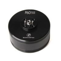 China New T-MOTOR P60 170KV 340 Pin 6S Brushless Motor Without P-Series Power Efficiency Quadcopter MultiRotor Agricultural UAV for sale