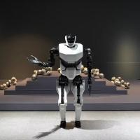 China Foxtechrobot 11 DOF Largest Supplier of Artificial Intelligent Programming AI Robot Education for Industrial Applications for sale