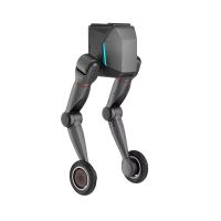 China Foxtechrobot TRON2 7DOF Dual Arm Bipedal Wheeled Legs AI Humanoid Robot for Research and Education for sale