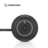 China Only 352g 10005 KV 12S Lipo 12.2kg Single Rotor Take-off Weight Mm Stator IP45 BLDC DIY 14-18 Drone Brushless Motor for sale