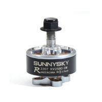 China 1 Pair Sunnysky E-R2207 2580KV CW/CCW 3-4S Brushless Motor For RC Drone FPV Racing for sale