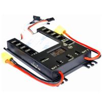 China Rccskj 4106 Mini Power DP Pro Servo Section Board 9 Channels Box Built 20A BEC And CDI Remote Switch For Gas Plane for sale