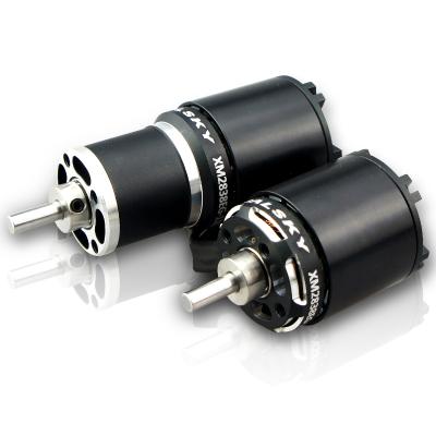 China Dualsky XM2838EG&EGL Motor Model Glider Motor for F5J P5B for sale