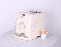 China 300g Bean Tank 10kg Net Weight Capsule Coffee Machine 20 Bar Water Pump for sale