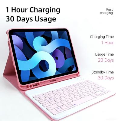 China Laudtec All-Round Protection Magnetic Detachable Portable Magic Keyboard Case for iPad 10.9-inch OEM/ODM/private Customization for sale