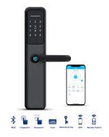 China 60mm Thickness Fingerprint Electronic Door Lock for Office WiFi BLE Smart Lock 6V for sale