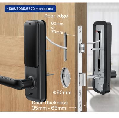 China ROSH WiFi Smart Electronic Deadbolt Lock Keyless Fingerprint Password 6V Tuya APP Remote Control for sale
