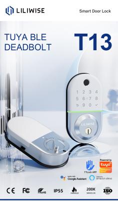 China Liliwise T13 Electronic Digital Deadbolt Smart Lock with 6 Unlock Methods, 1-Year Battery Life for 35-55mm Doors for sale
