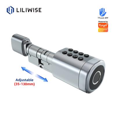 China Smart Cylinder Door Lock WiFi Bluetooth Fingerprint 6-in-1 Digital Lock with FPC Reader for sale