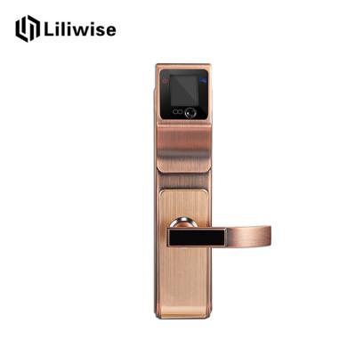 China High Security Electronic Digital Door Lock with Face Recognition, 300 User Capacity, 2.5 Inch Touch Screen for sale
