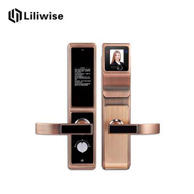 China Biometric Smart Face Recognition Door Lock with 300 User Capacity and 500 DPI Resolution - Infrared Non-Contact Technology for sale