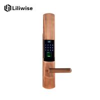China Zinc Alloy Digital Keyless Entry Door Lock with 5 Unlock Methods & 0.3s Recognition Speed - SJ6061 Electronic Security for sale