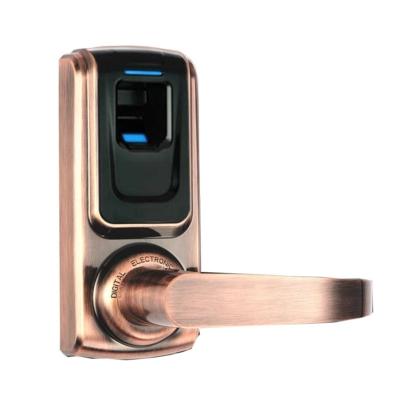 China Residential Fingerprint Door Lock Zinc Alloy SJ6024 Optical Sensor 0.1s Recognition for sale