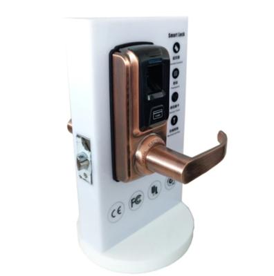 China Small Smart Fingerprint Door Lock with Mechanical Key for Wood Doors Optical Sensor 0.1s Recognition for sale