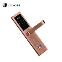 China SJ6085-3 Electronic Fingerprint Door Lock with 300 Data Capacity and 10,000 Operation Battery Life for 40-120mm Doors for sale