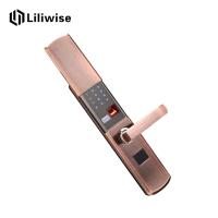 China SJ6062 Fingerprint Digital Door Lock with Sliding Cover - 370mm×79mm Zinc Alloy, 4 Unlock Methods, 300 Data Capacity for sale