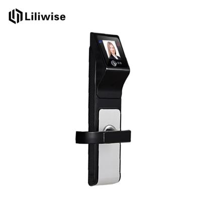 China Smart IR 3D Face Recognition Electronic Door Lock Keyless Entry Handle Lock 300 Capacity for sale