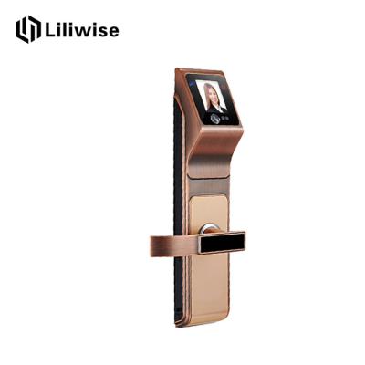 China F10 Face Recognition Smart Door Lock with 300 User Capacity and 500 DPI Resolution - Multiple Unlock Methods for sale