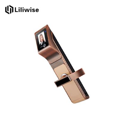 China SJ9010-2 Facial Recognition Smart Door Lock with 300 User Capacity and 500DPI Resolution - Zinc Alloy Biometric Security for sale