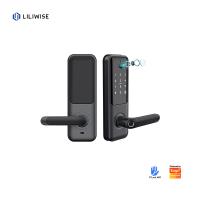 China Tuya WiFi BLE Smart Door Lock with 200 Fingerprint Capacity and 6V Battery for 35-65mm Doors for sale