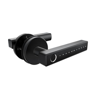 China Smart Door Lock Biometric Fingerprint Keyless Entry 35-52mm Door Thickness BLE WiFi Aluminum Alloy for sale