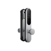 China Liliwise Grade C Security Smart Door Lock with Cloud Storage and OEM/ODM Support for sale