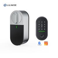 China Liliwise OEM ODM Retrofit Smart Lock Digital Door Lock Fits EU Profile Cylinders 140.5mm x 60mm x 52mm for sale