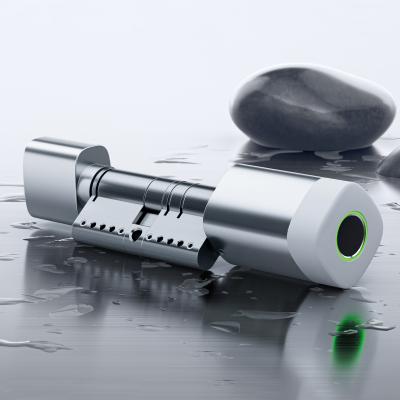 China Liliwise Smart Cylinder Lock WiFi BLE Fingerprint RFID Card Keyless Door Lock 30-120mm for sale