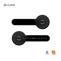 China Smart Handle Lock 6V Battery MF1 Card 35~65mm Fit Electronic Door Lock Secure Access for sale