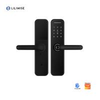 China Smart Door Lock 6V BLE WiFi Fingerprint 35-60mm Door Thickness 200 Capacity for sale