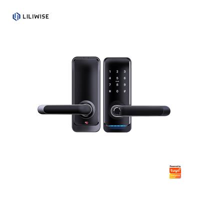 China Smart Door Lock 200 Fingerprint Capacity 6V Battery 35-75mm Door Thickness Electronic Digital Door Lock for sale