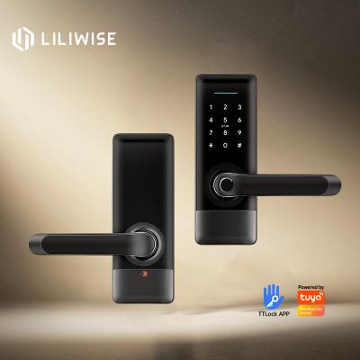 China Liliwise Smart Door Lock H1 WiFi BLE Fingerprint Card PIN Code 200 Capacity for Residential Airbnb for sale