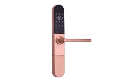 China SS3023A Smart Lock for Aluminum Sliding Doors - 6V Battery Powered with 10,000 Operation Cycle and 5 Unlock Methods for sale