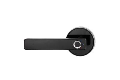 China Smart Black Biometric Fingerprint Door Handle Lock N10 - 100 Fingerprint Capacity, 5,000 Operations Battery Life for sale