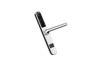 China Smart RFID Fingerprint Aluminum Glass Door Lock 4-in-1 300 Data Capacity for sale